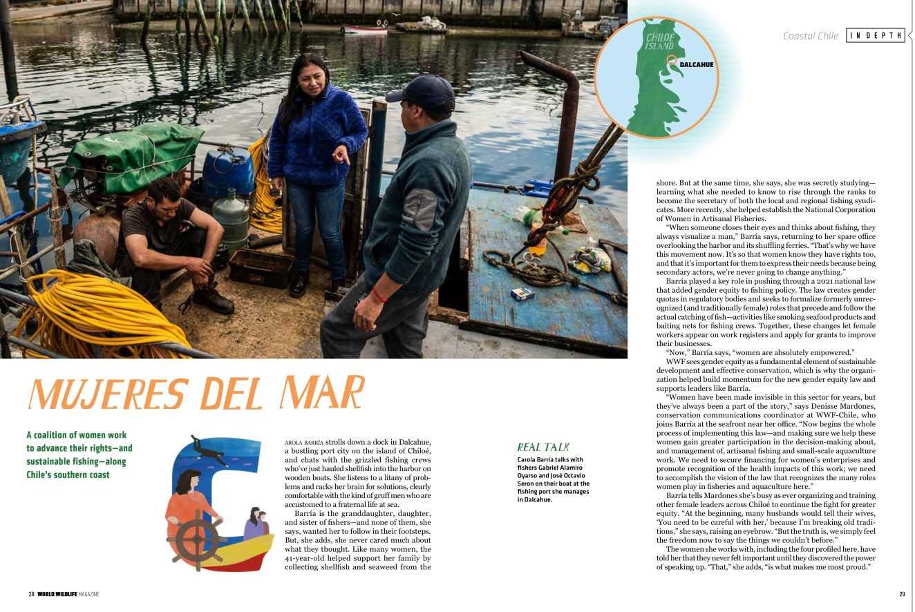 Daniella Ferretti /WWF / Patagonian Coast Map and Letters for Founder's ...