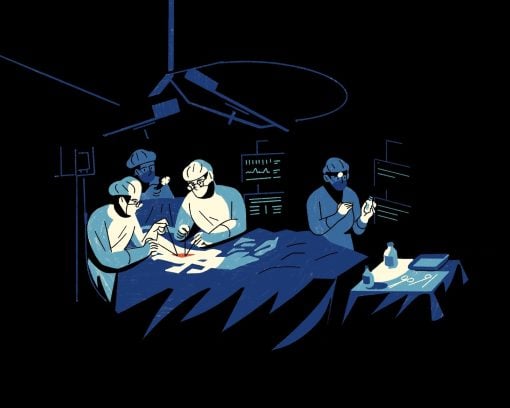 Maya Nguyen | Anna Goodson Illustration Agency